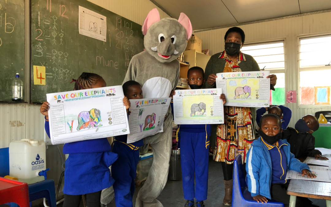 Growing our HERD - With Mpisi Primary School