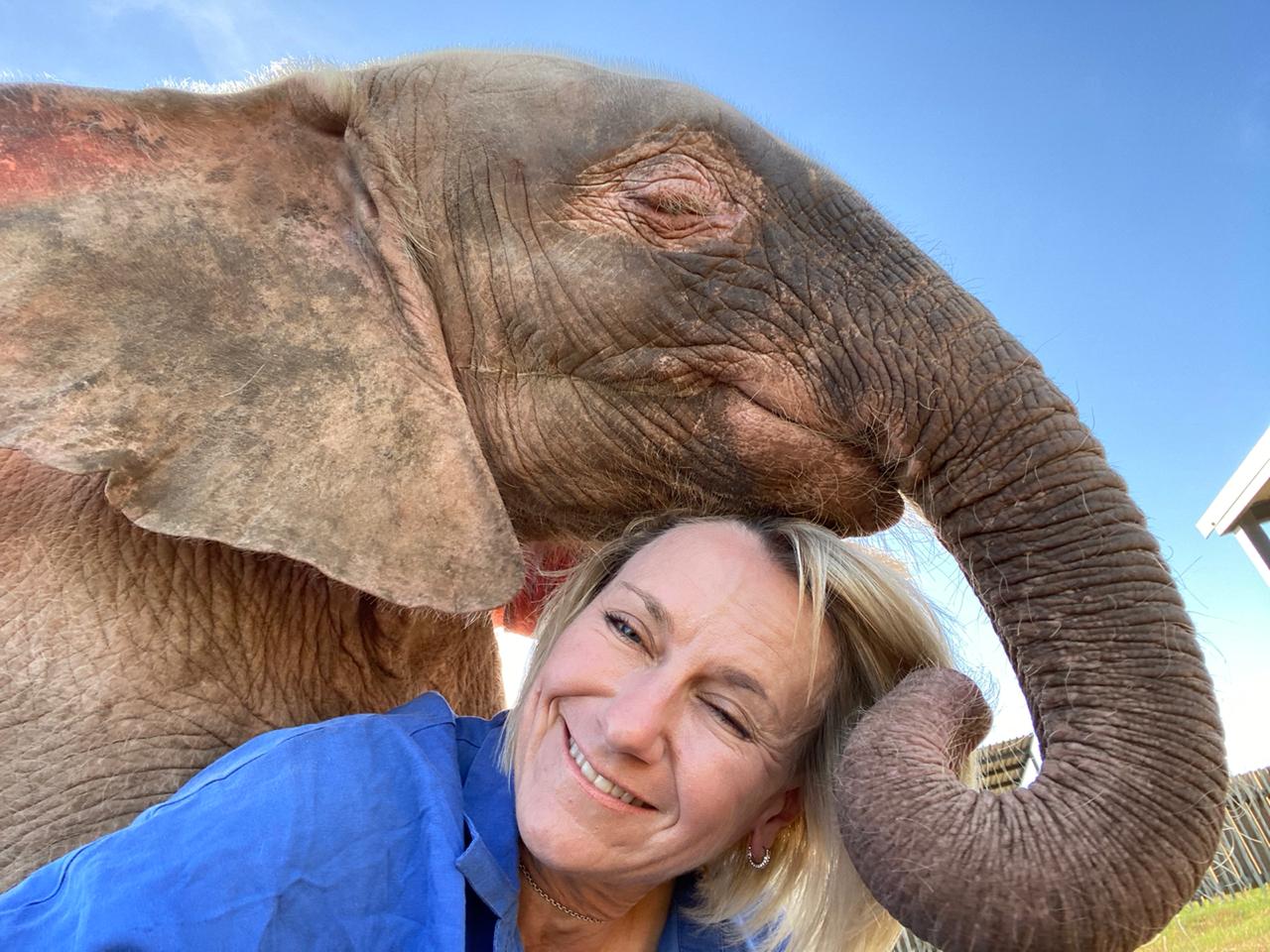 Lessons From Women Who Walk With Elephants | HERD