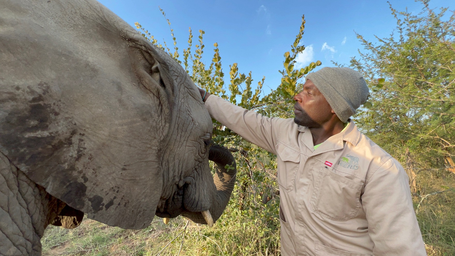 How To Tell Male From Female Elephants – Lessons From Carer Owen | HERD