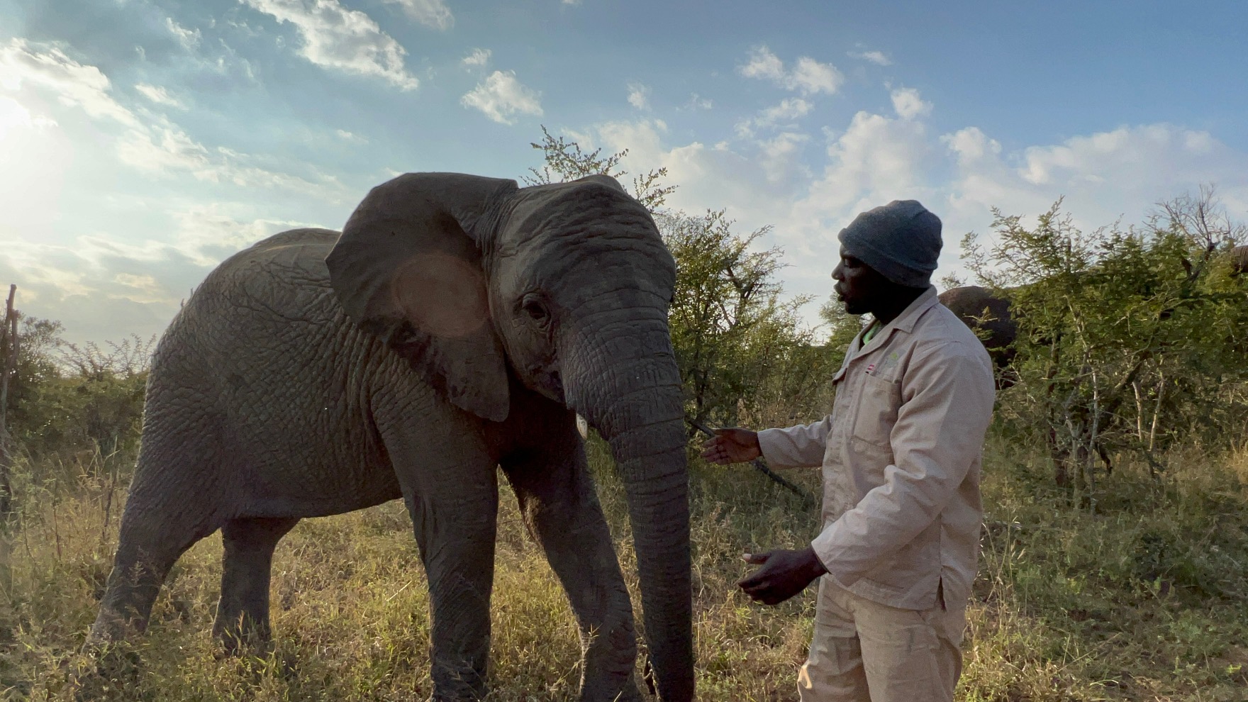 How To Tell Male From Female Elephants – Lessons From Carer Owen | HERD