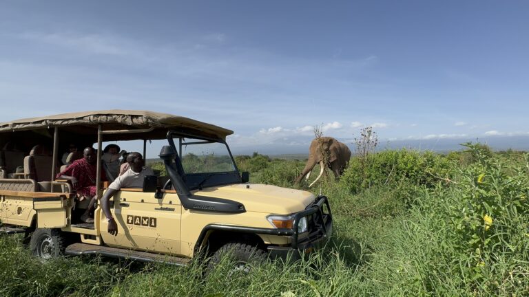 Adine's Close-Up Encounter with the Super Tusker Elephant, Craig in ...