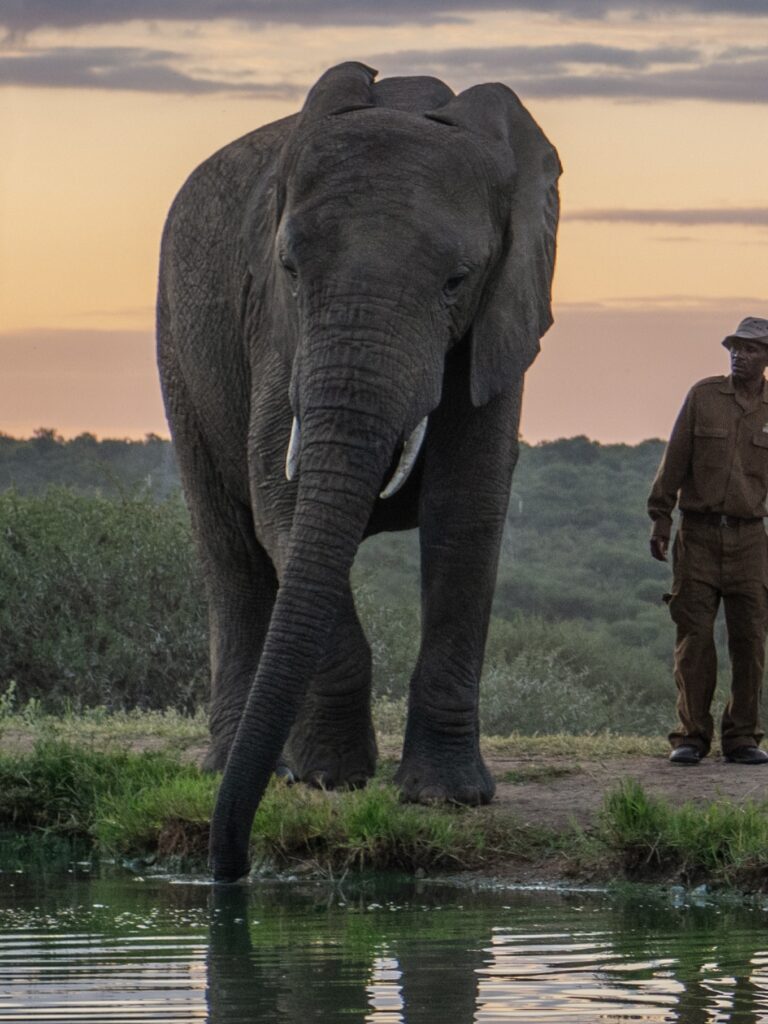 Limpopo