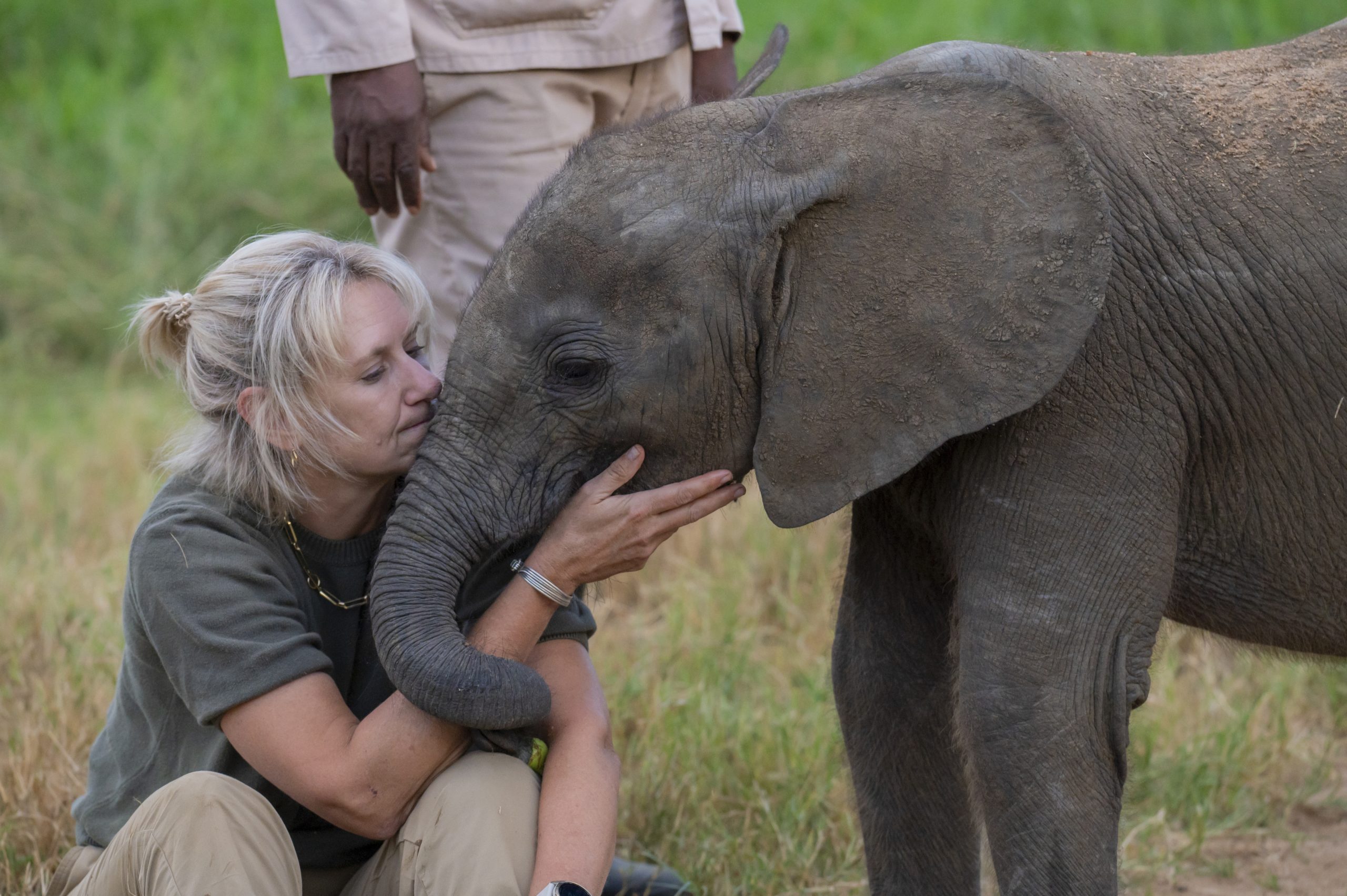 South Africa's First Elephant Orphanage | HERD Trust